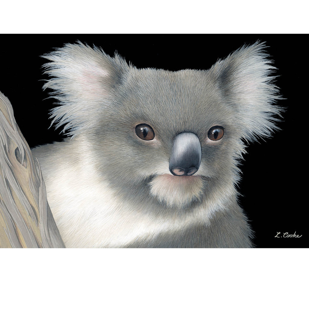 LC18 Australian Koala – Art Publishing Australia