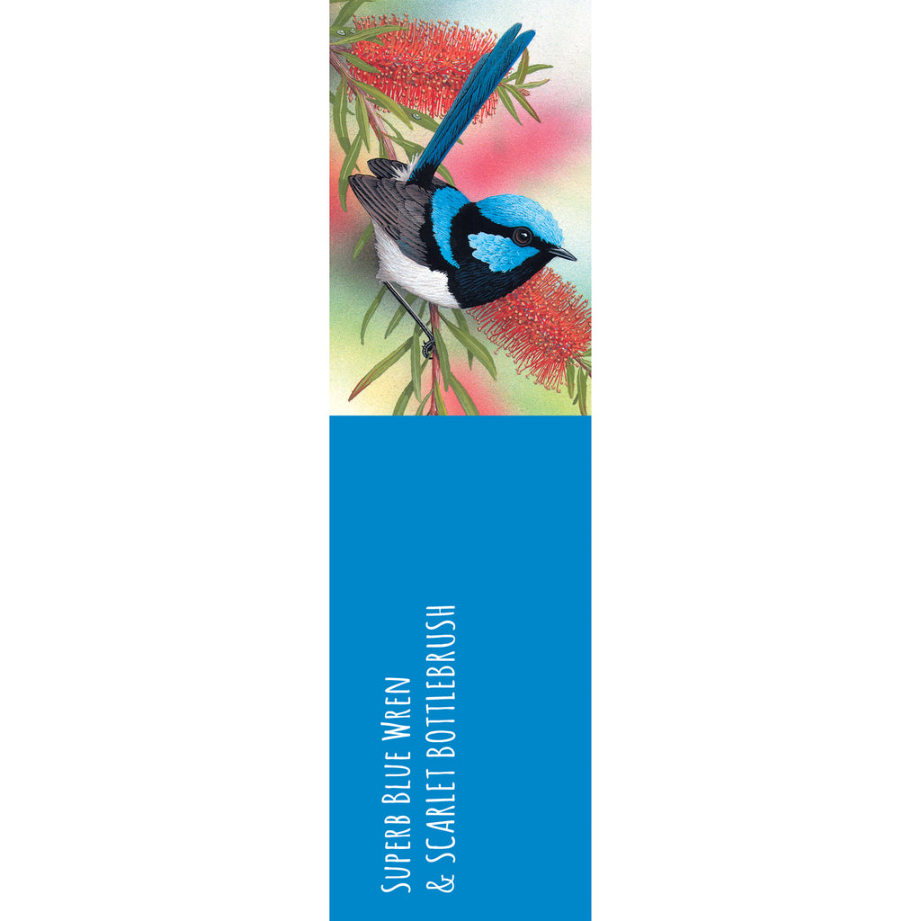 LC64B Superb Blue Wren And Scarlet Bottlebrush – Art Publishing Australia